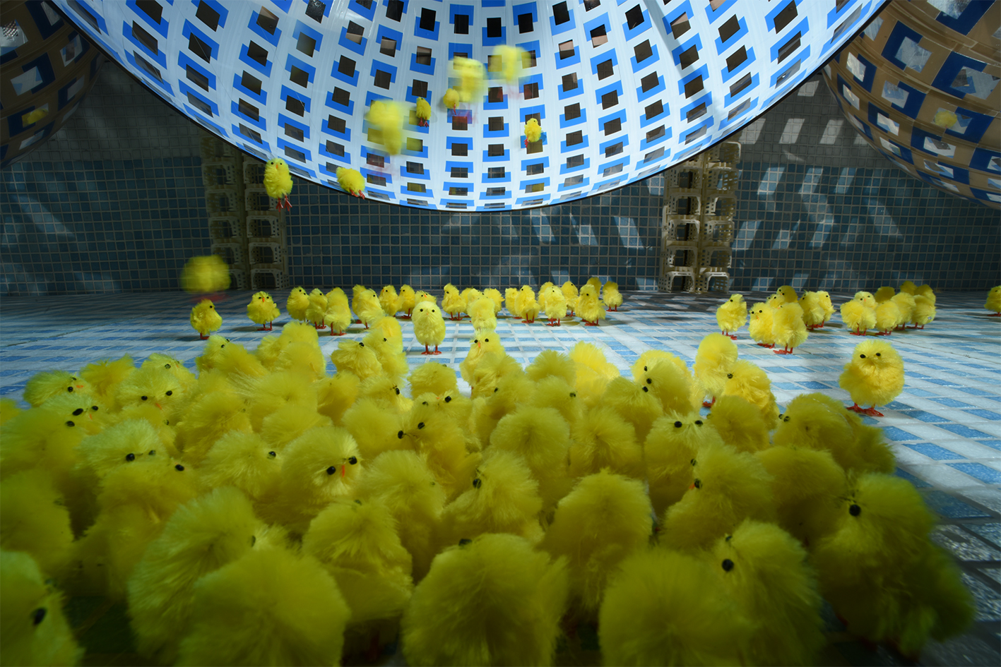 CHICK WASH 20minmax Kurzfilmfestival CHICK WASH 20minmax Kurzfilmfestival